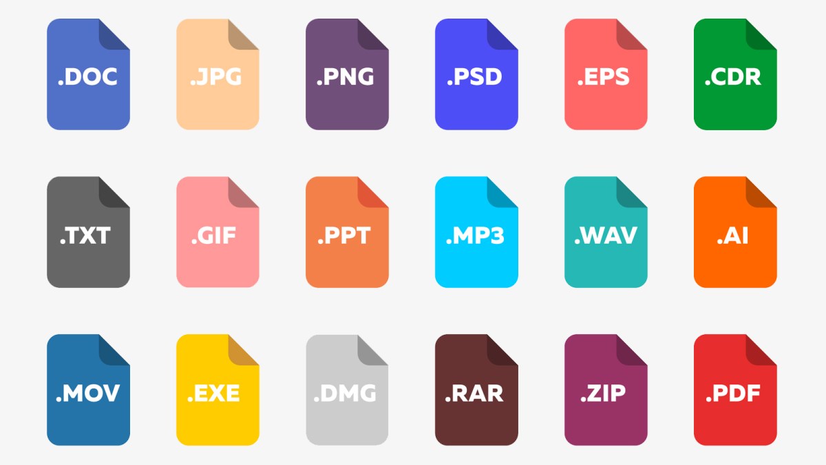 7: File Formats – Design Lab 1101